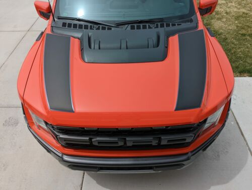 2021-2024 Ford Raptor Dual Hood Stripes W/ Pinstripes Vinyl Graphics ...
