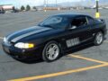 Mustang Graphics - Rocky Mountain Graphics